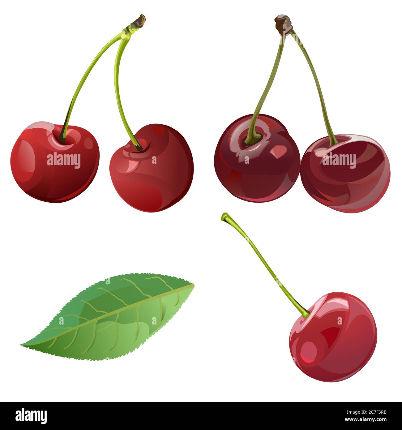 Feuille de cerisier dessin Banque d'images vectorielles - Page 2 - Alamy