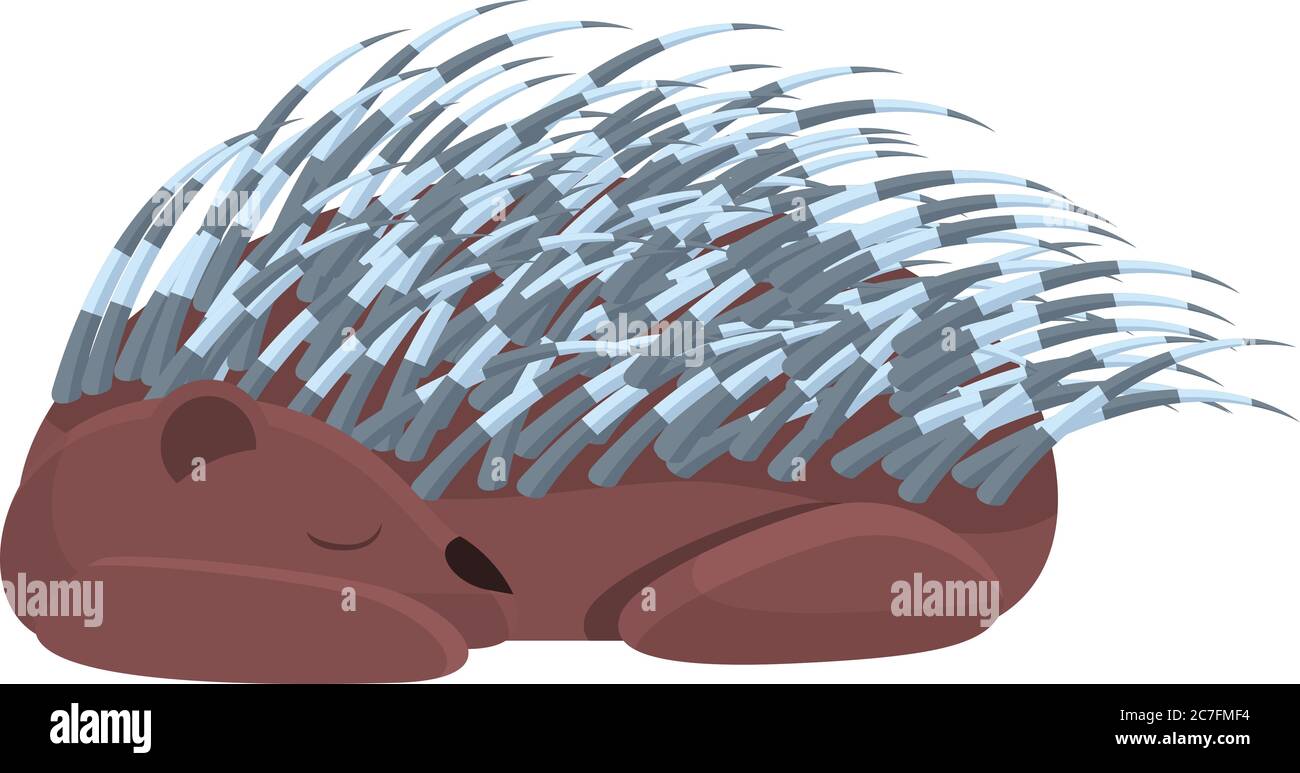 Icône de hérisson endormi. Dessin animé de l'icône de vecteur de ...