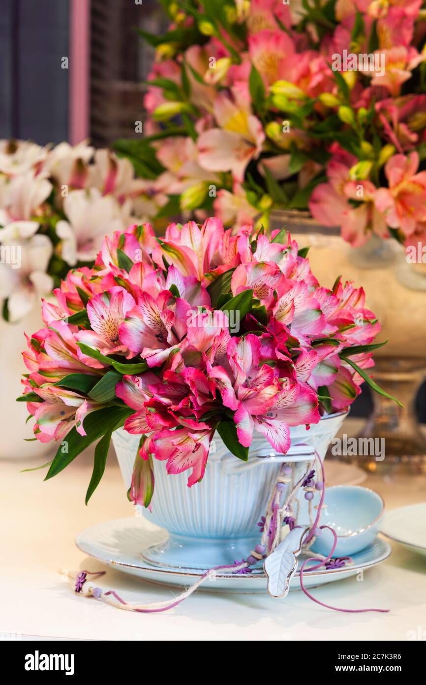 Fleurs de freesia Banque de photographies et d’images à haute ...