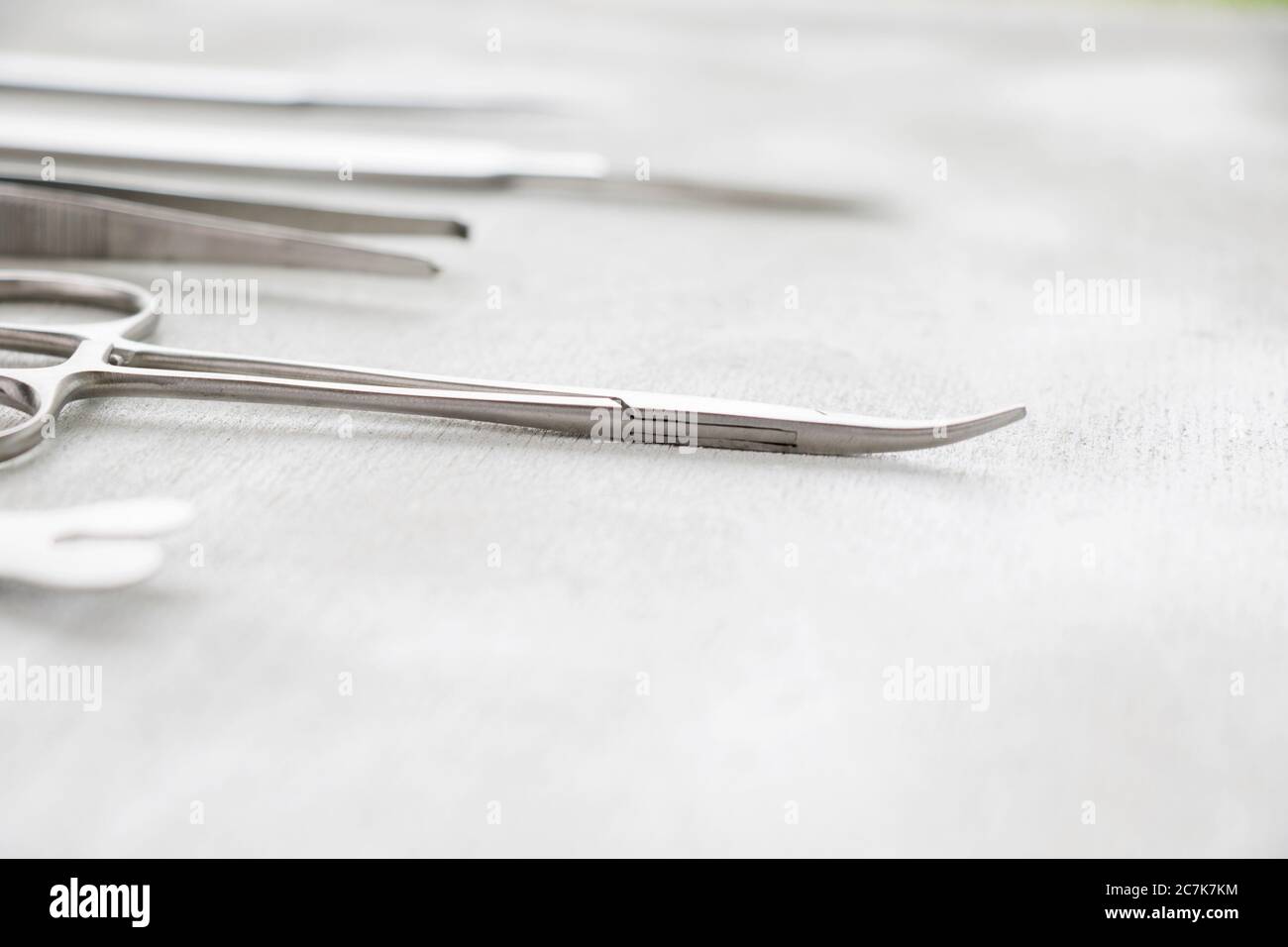 Kit de dissection - Outils en acier inoxydable de qualité supérieure ...