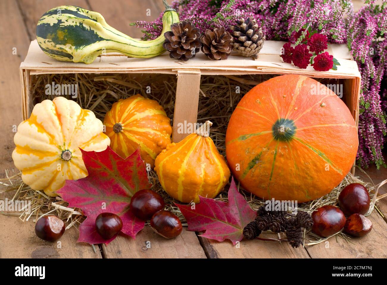 Paniers paniers citrouilles citrouilles Banque de photographies et d ...