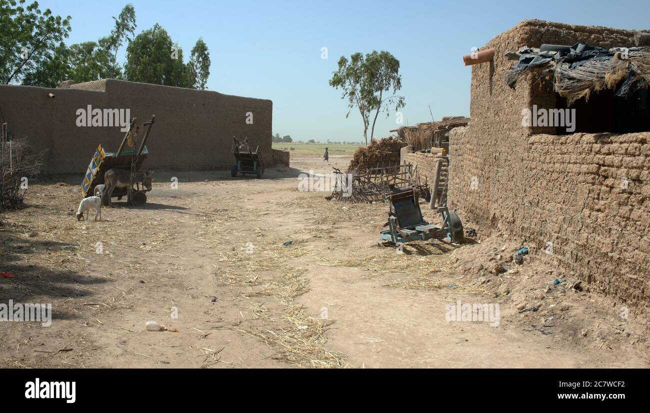 Bozo people Banque de photographies et d’images à haute résolution - Alamy