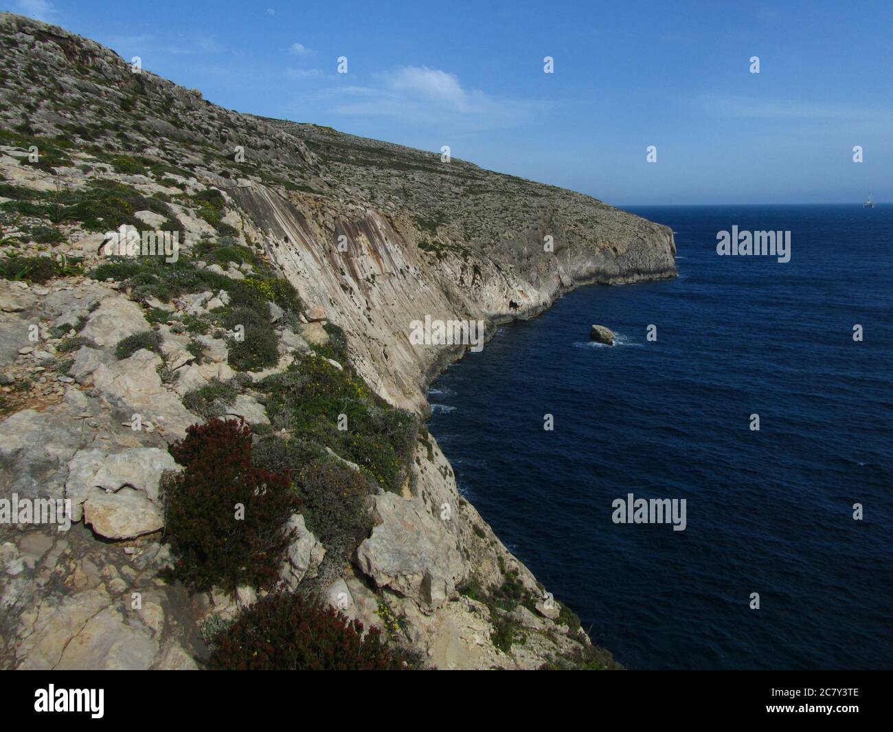Belle vue sur la végétation de garigue qui pousse sur les falaises de ...