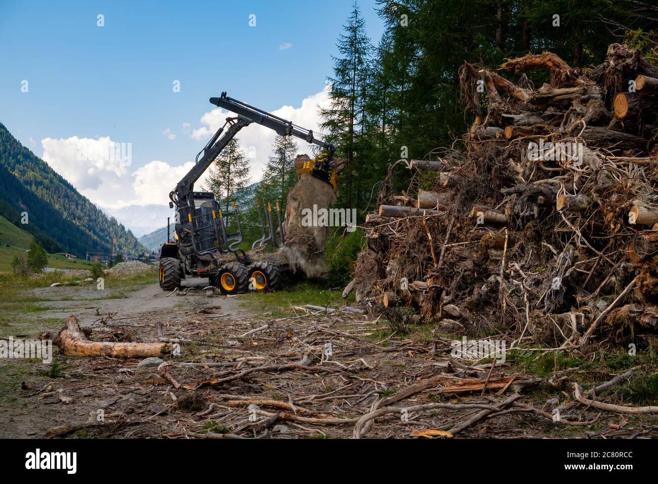 Bulldozer deforestation forest Banque de photographies et d’images à ...