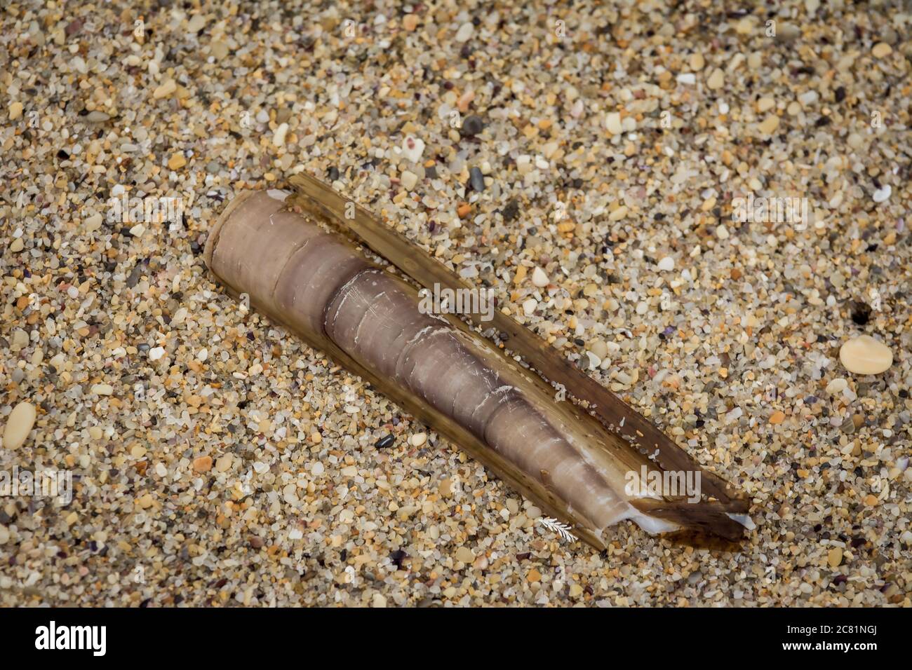 Gros plan grand angle d'une cale en forme de coller sur une surface ...