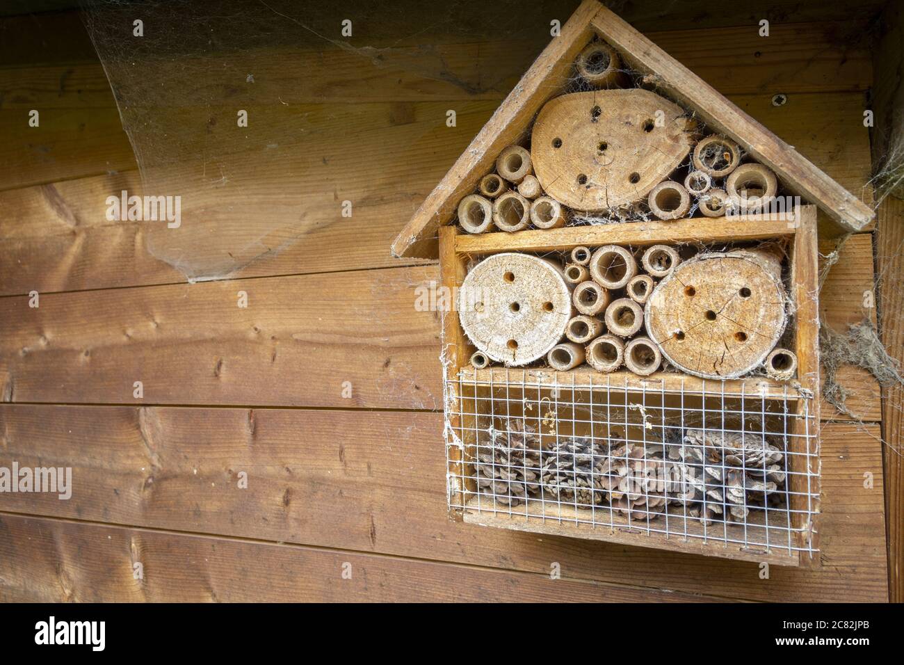 Gros plan d'un insecte en bois décoratif et d'un hôtel d'abeilles ...