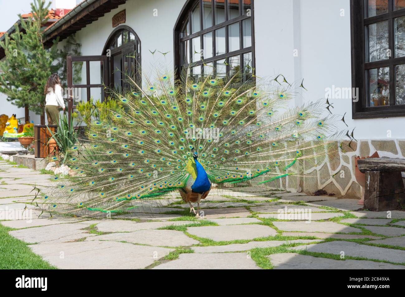 Queue tendue Banque de photographies et d’images à haute résolution - Alamy
