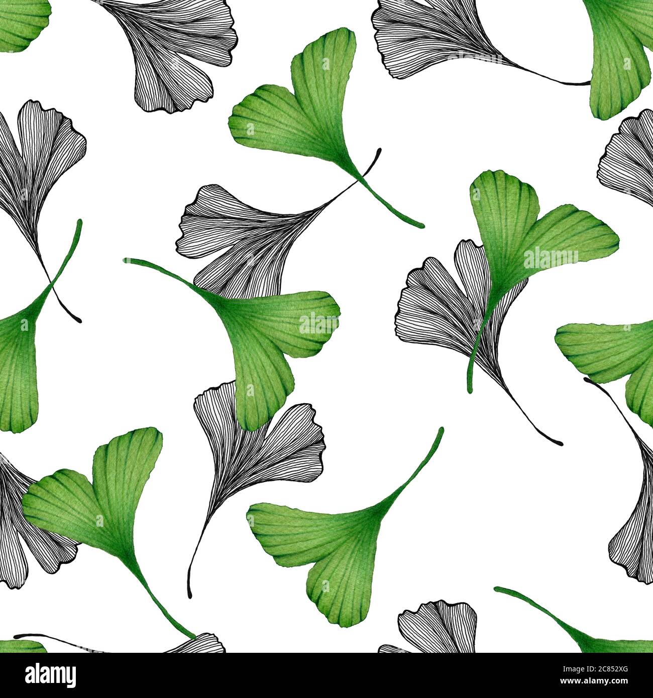 motif ginkgo sans coutures, dessin au trait et aquarelle avec feuilles ...