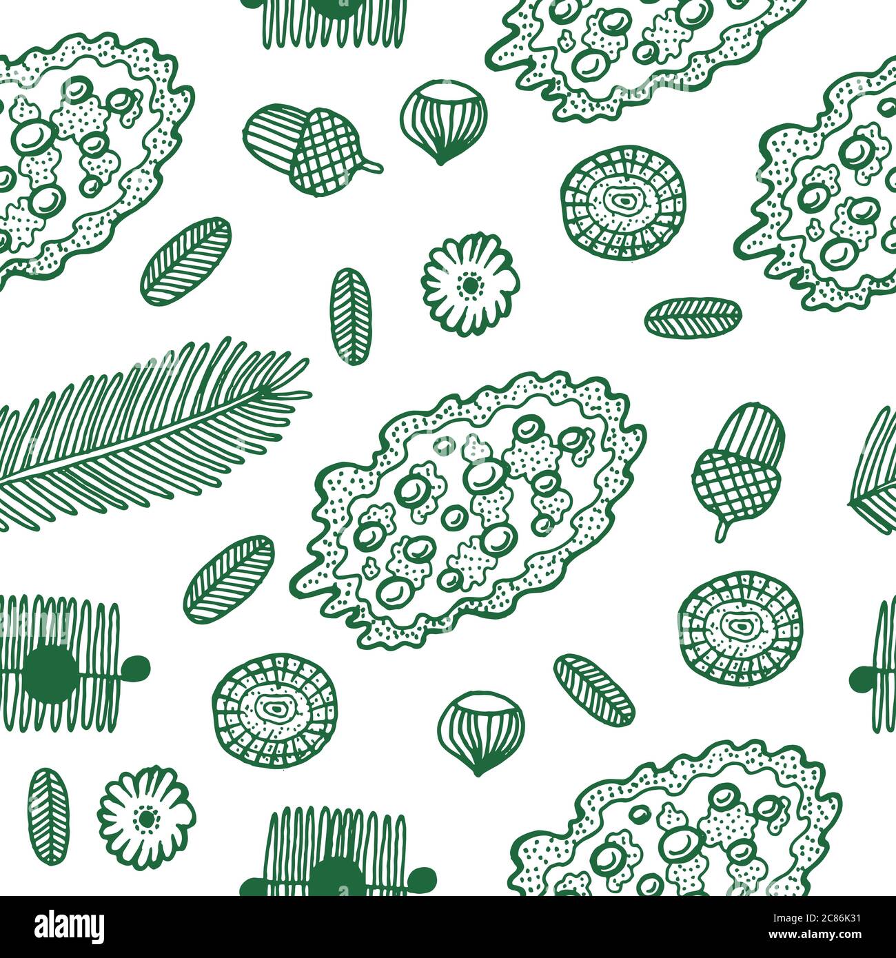 Bois de mousse blanche Banque d'images vectorielles - Alamy