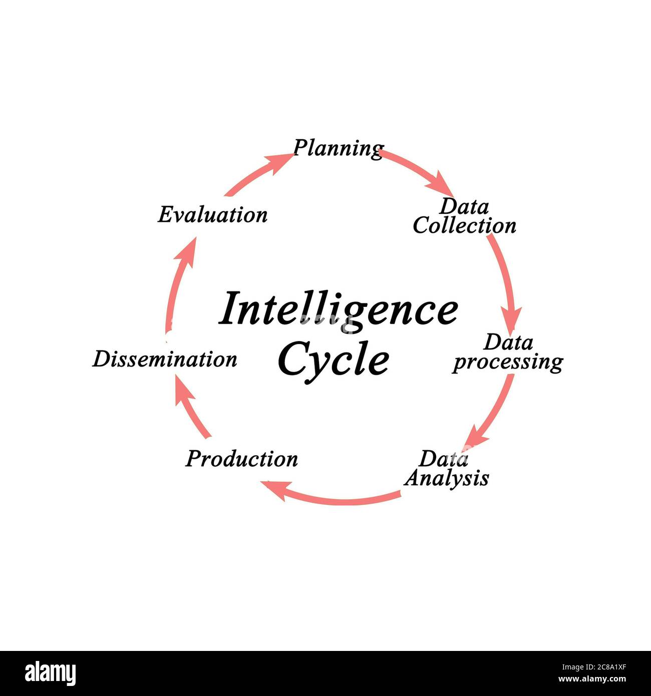 Cycle du renseignement Banque d'images détourées - Alamy