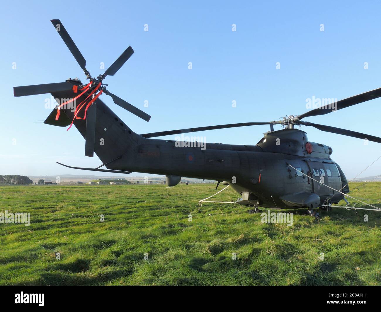 Puma westland Banque de photographies et d’images à haute résolution ...