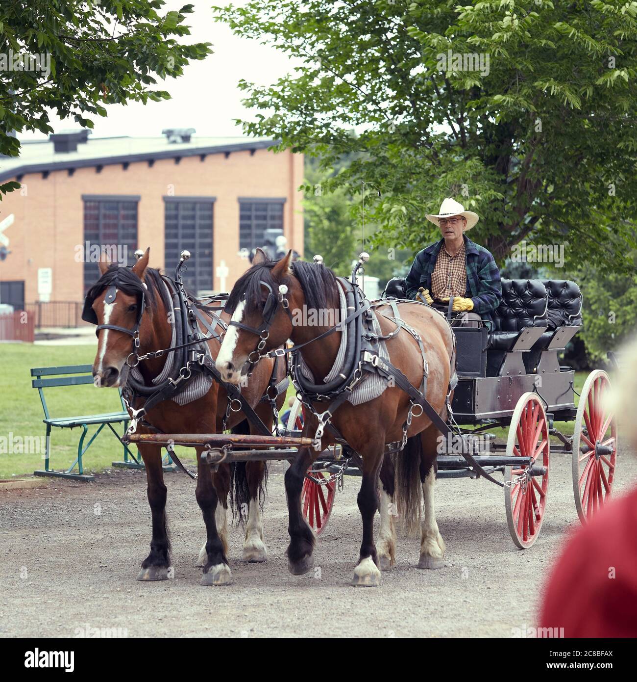 Matériel agricole tiré par des chevaux Banque de photographies et d ...
