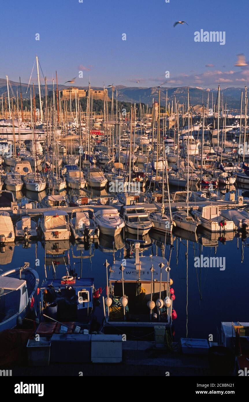 Port vauban antibes Banque de photographies et d’images à haute ...