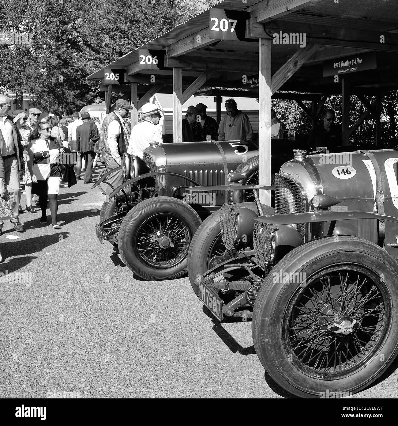 Goodwood paddock Banque d'images noir et blanc - Alamy