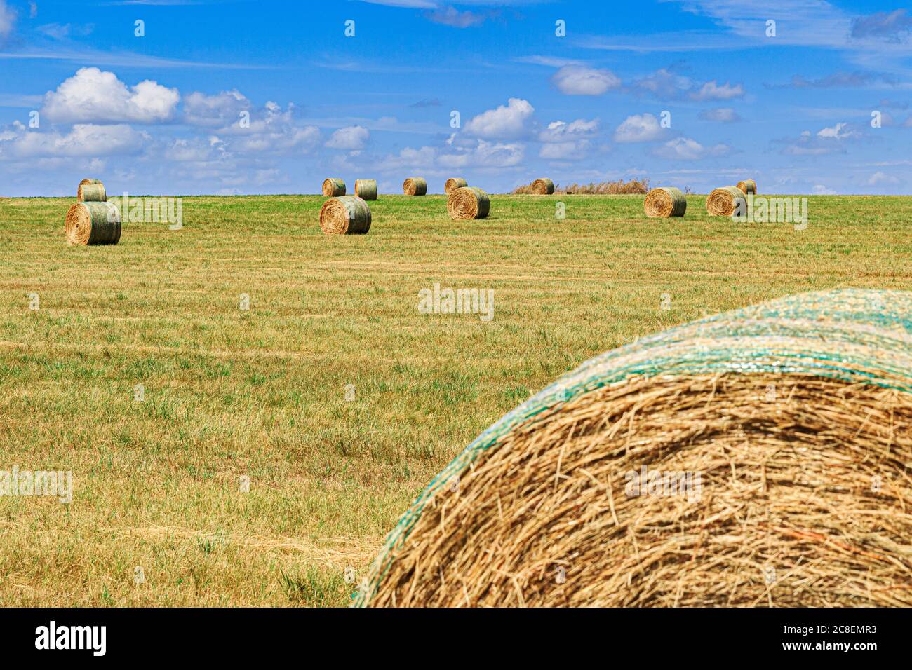 Botte de foin bottes de foin balles de balles Banque de photographies ...