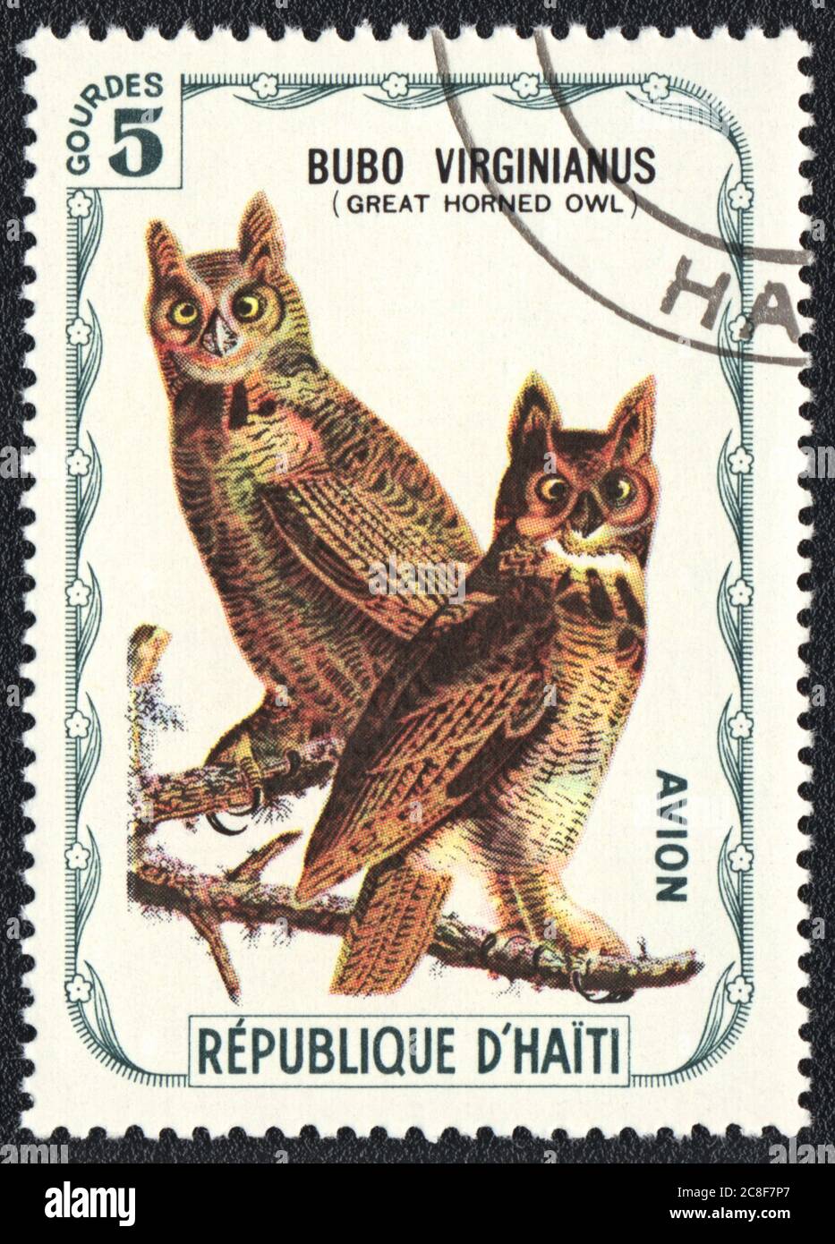Timbre-poste. Bubo virginianus (grand hibou des cornes), République d ...