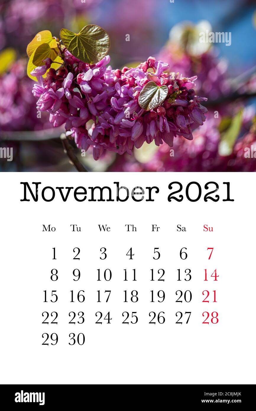 Carte de calendrier pour le mois de novembre 2021 Photo Stock - Alamy