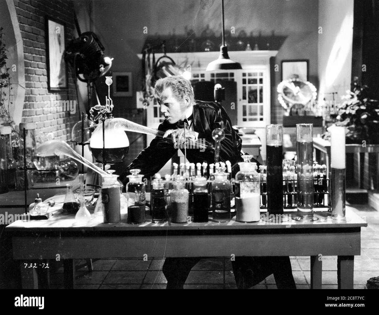 Portrait de loup garou Banque de photographies et d’images à haute ...