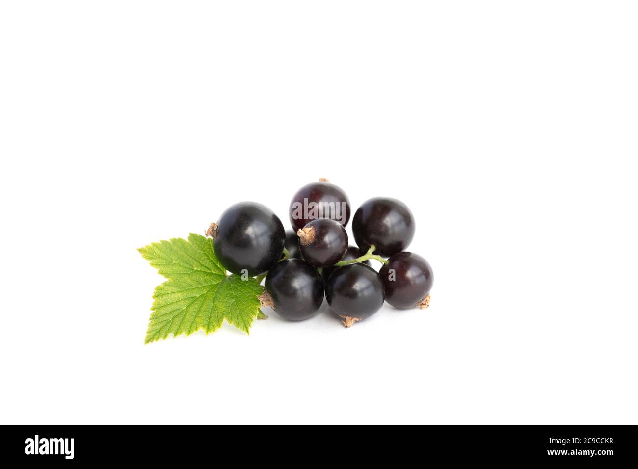Fruit de cassis Banque de photographies et d’images à haute résolution ...