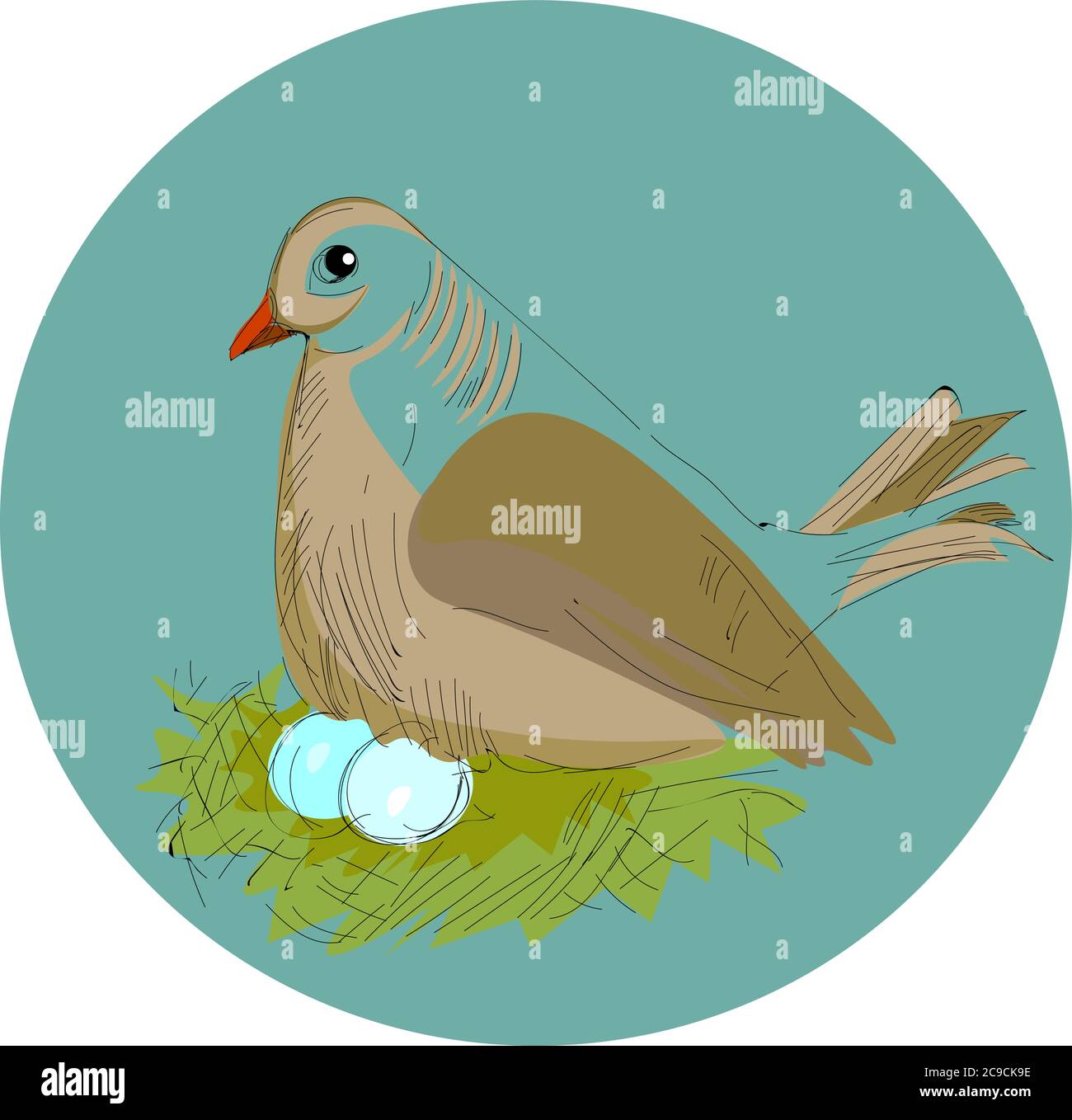 Jeunes oiseaux au nid Banque d'images vectorielles - Alamy