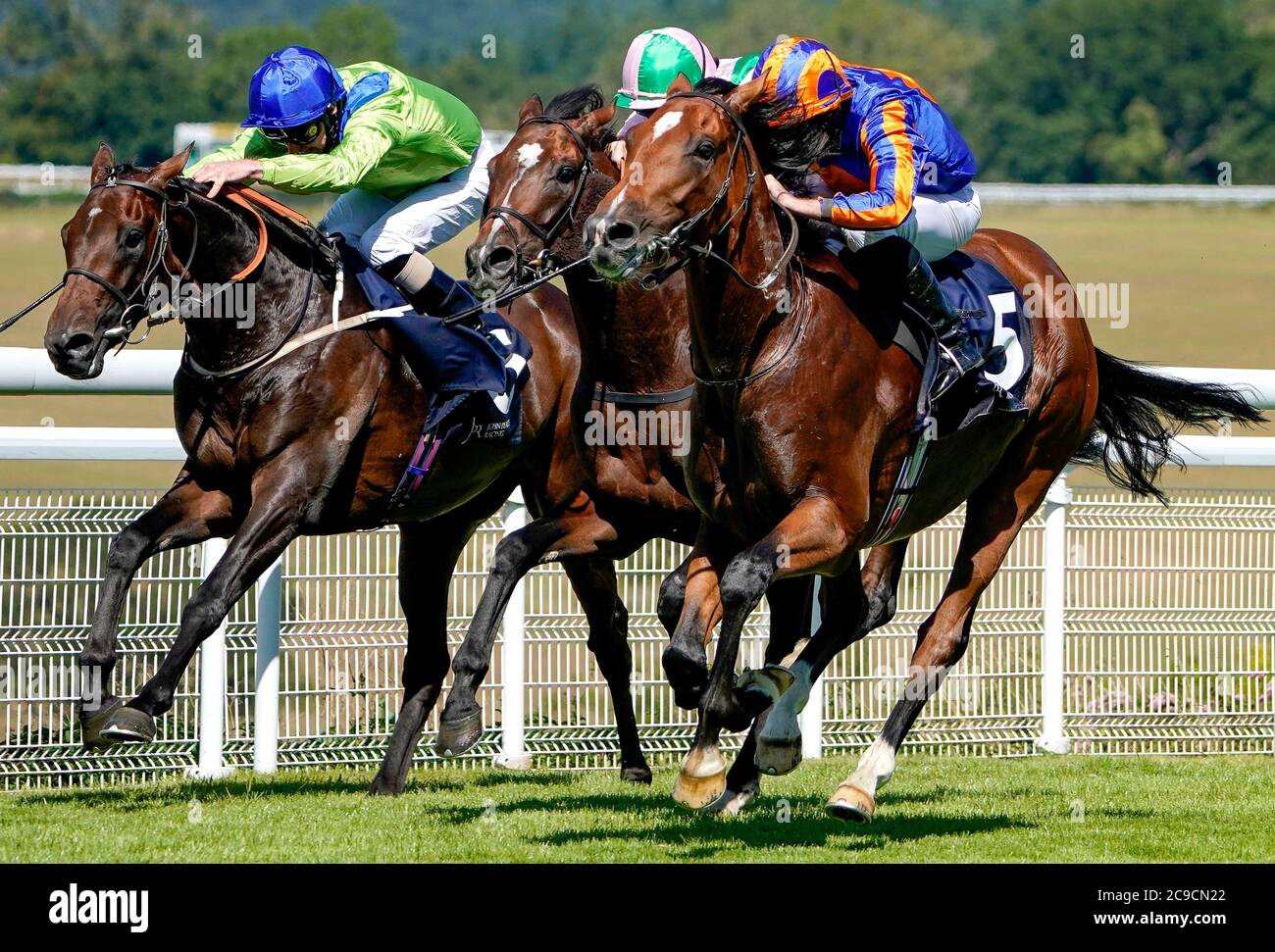 Gagner les enjeux gordon des courses john pearce Banque de ...
