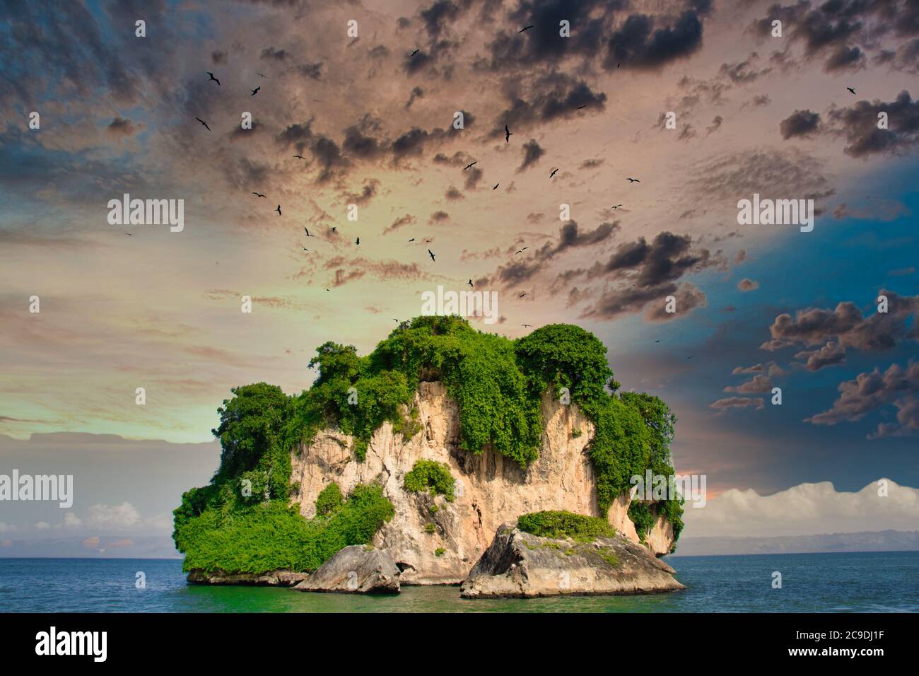 île frégate Banque de photographies et d’images à haute résolution - Alamy