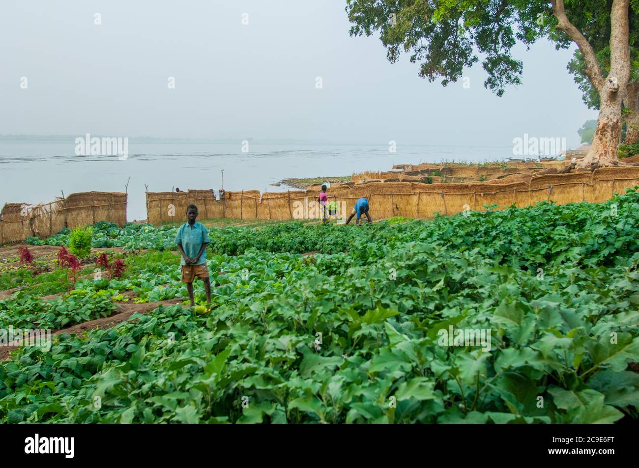 Segou city on the niger river banks Banque de photographies et d’images ...