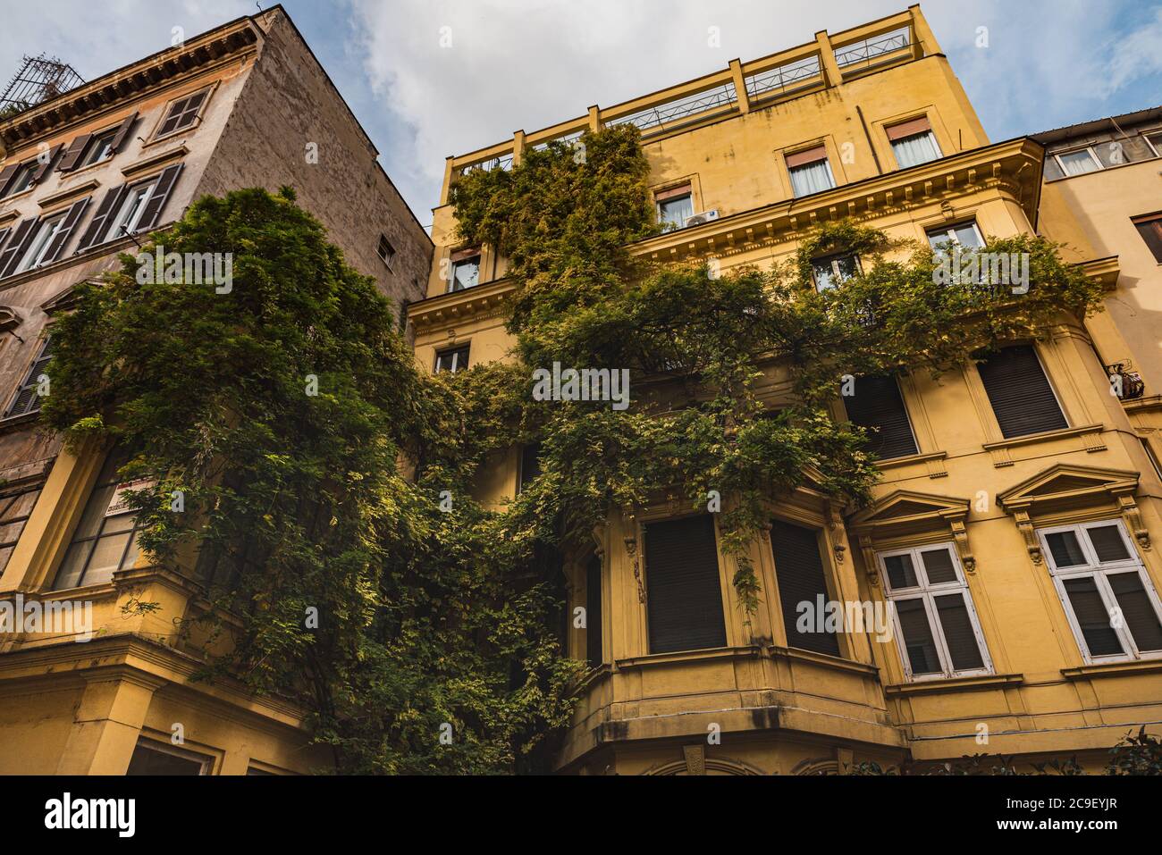 Façade de bâtiment couverte de vivaces dans la via Angelo Brunetti ...