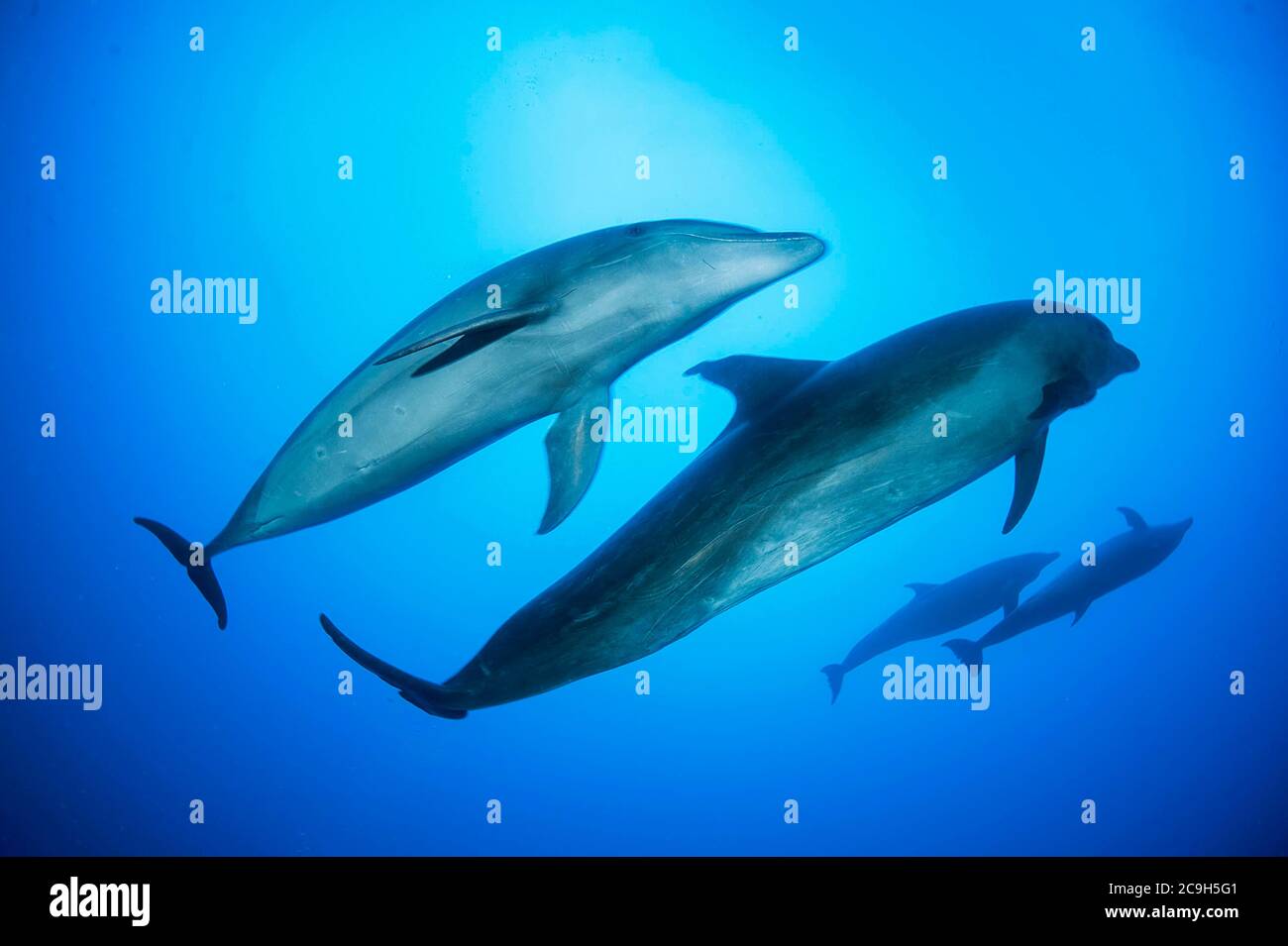 Tiputa pass Banque de photographies et d’images à haute résolution - Alamy