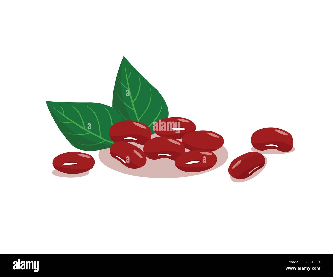 Red kidney bean Banque d'images vectorielles - Alamy