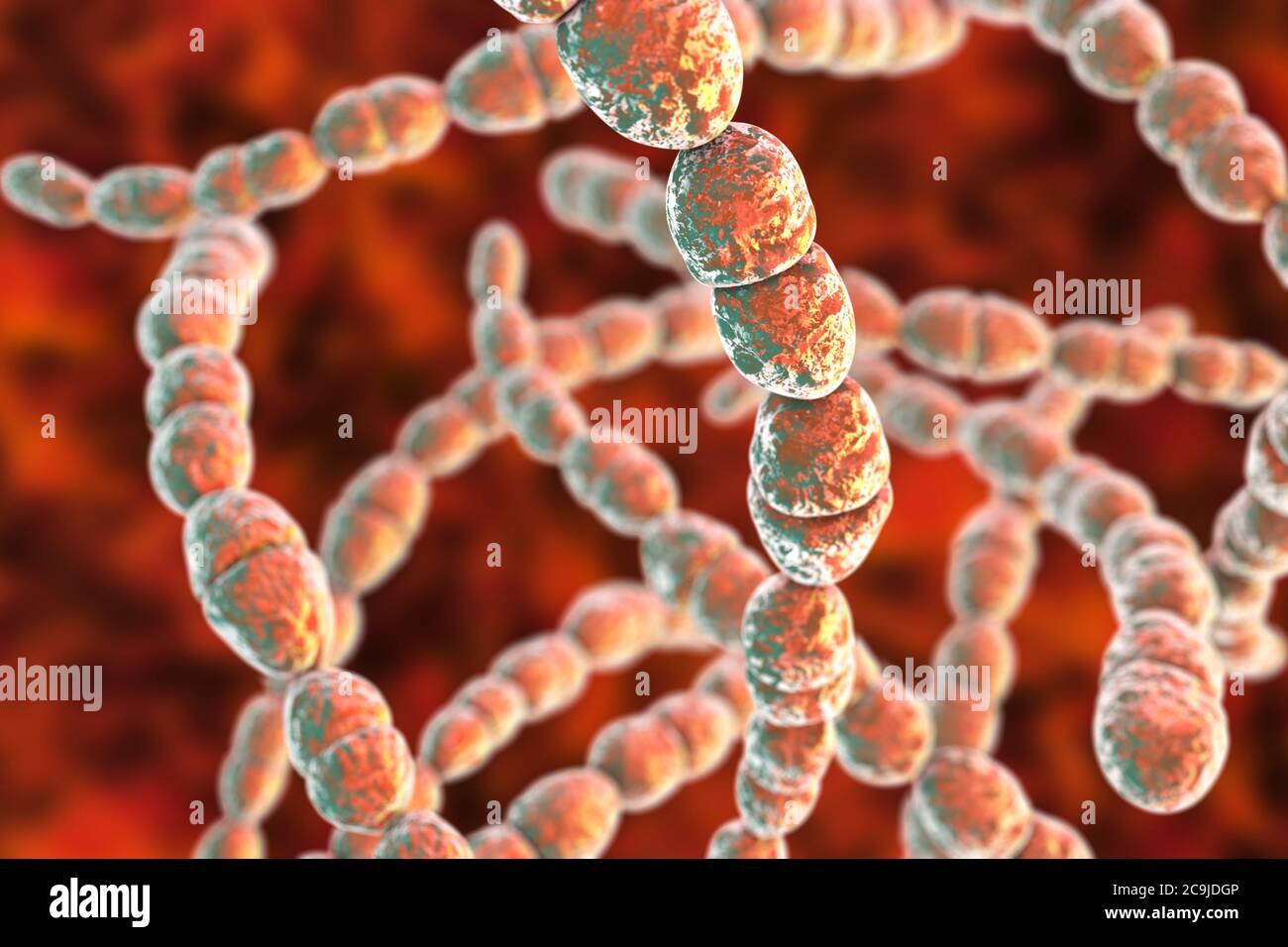 Streptococcus thermophilus Banque de photographies et d’images à haute ...