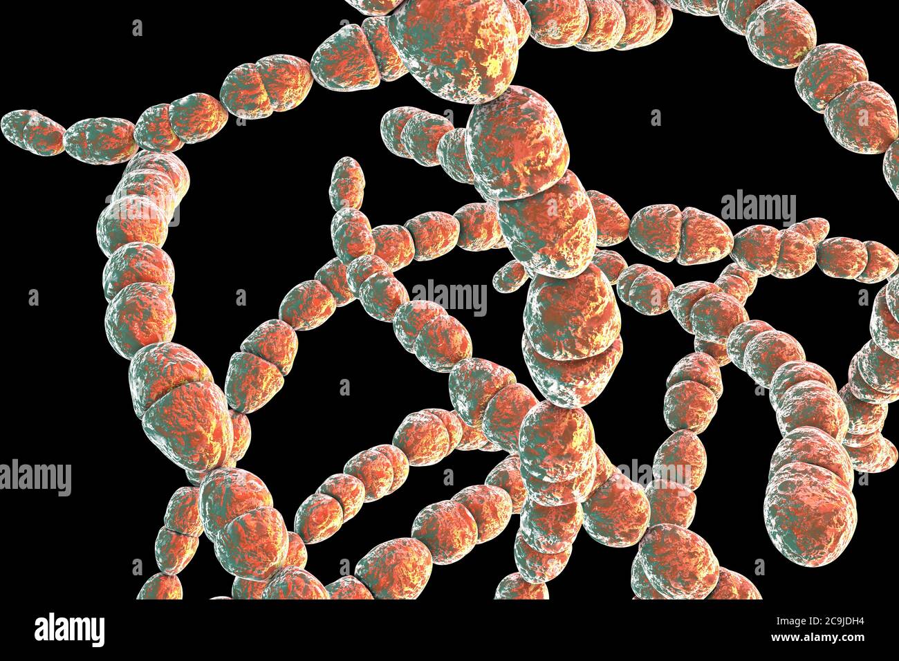 Streptococcus viridans Banque de photographies et d’images à haute ...