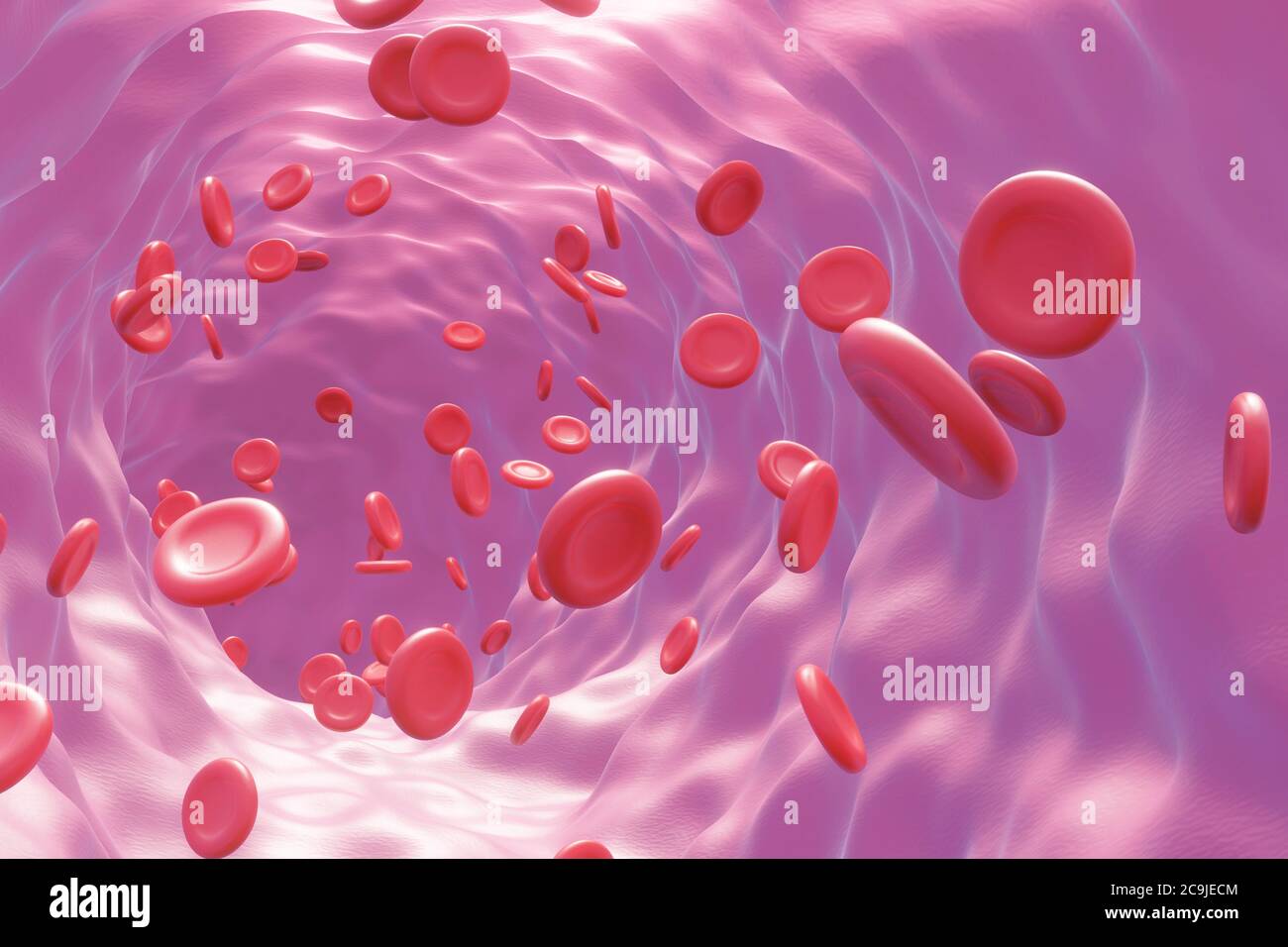 Globules rouges circulant dans un vaisseau sanguin Banque de ...