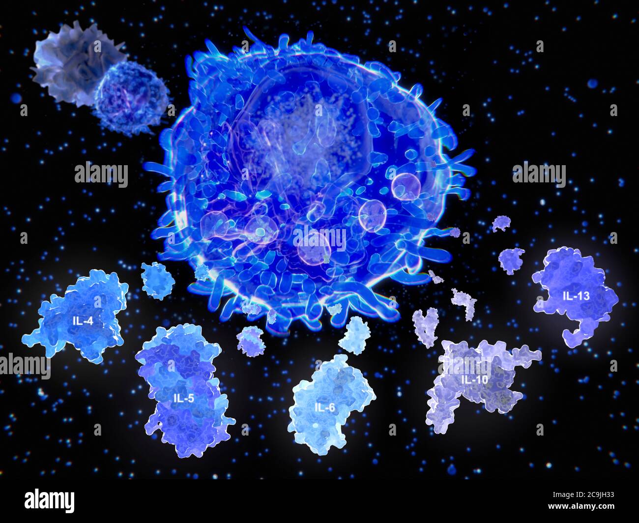 T molécules de cellule auxiliaire et d'interleukine, illustration. Les ...