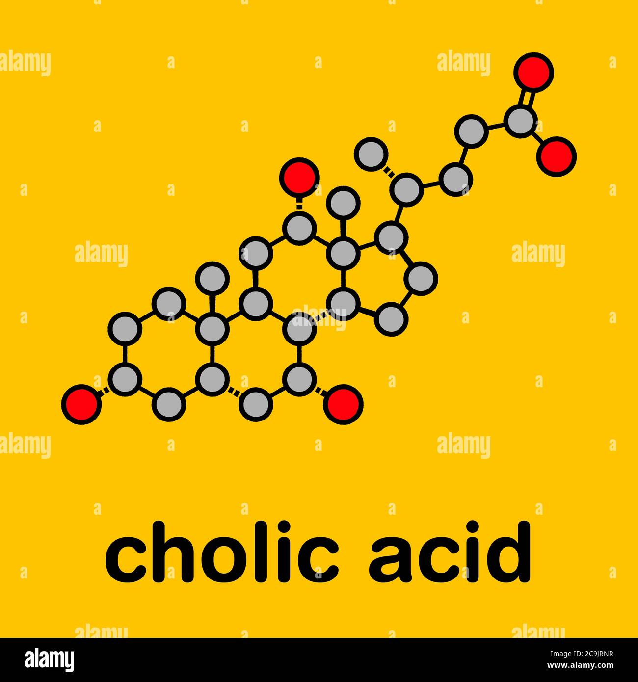 Molécule d'acide cholique (cholate). Composant principal de l'acide ...