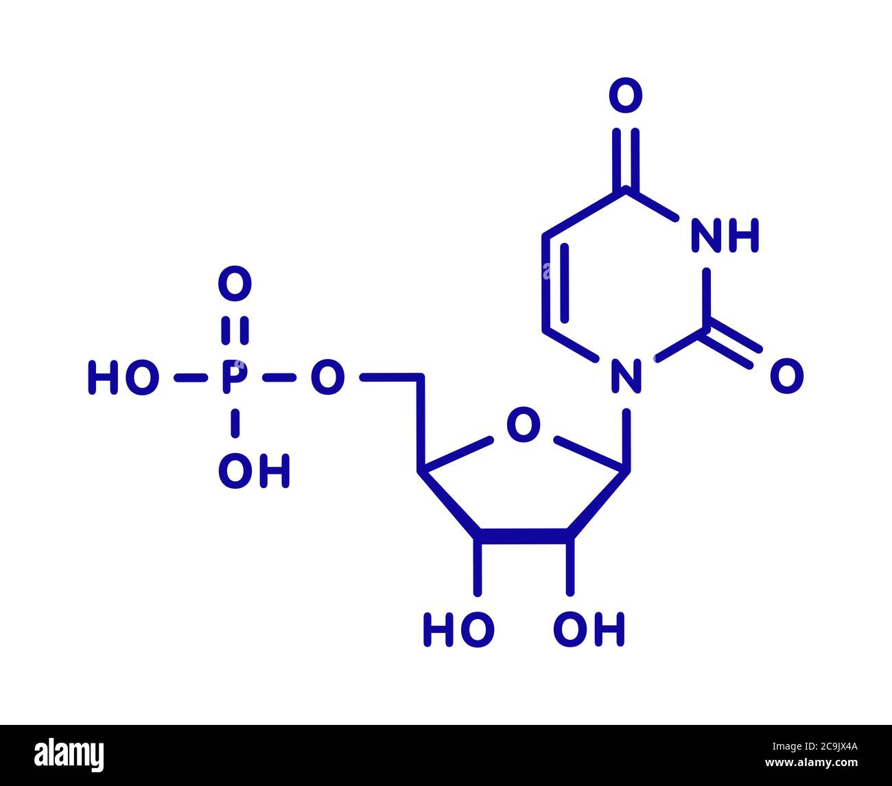 Uridine monophosphate nucleotide molecule Banque de photographies et d ...