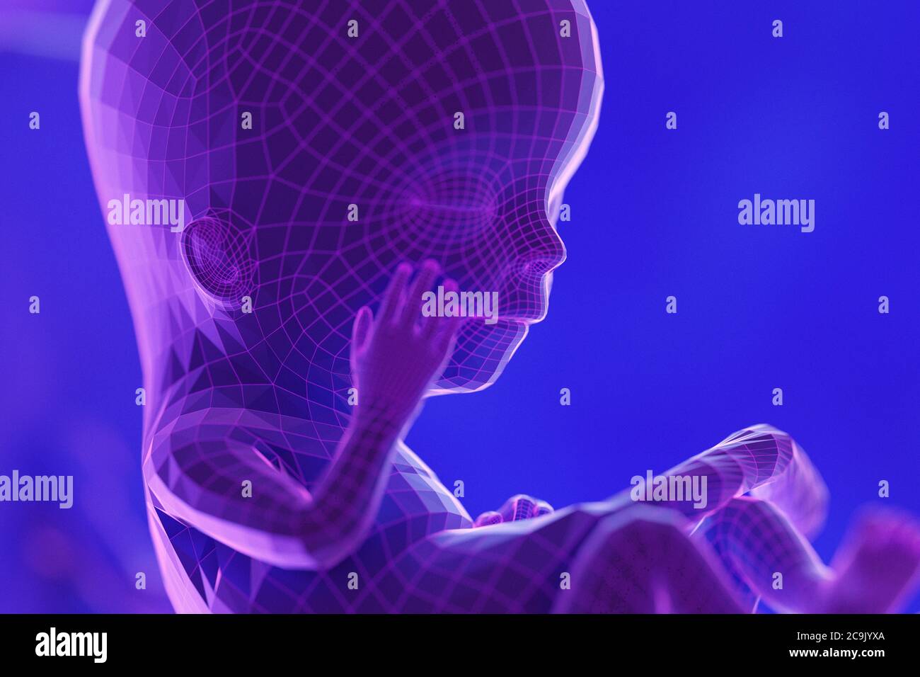 Foetus de 12 semaines Banque de photographies et d’images à haute ...