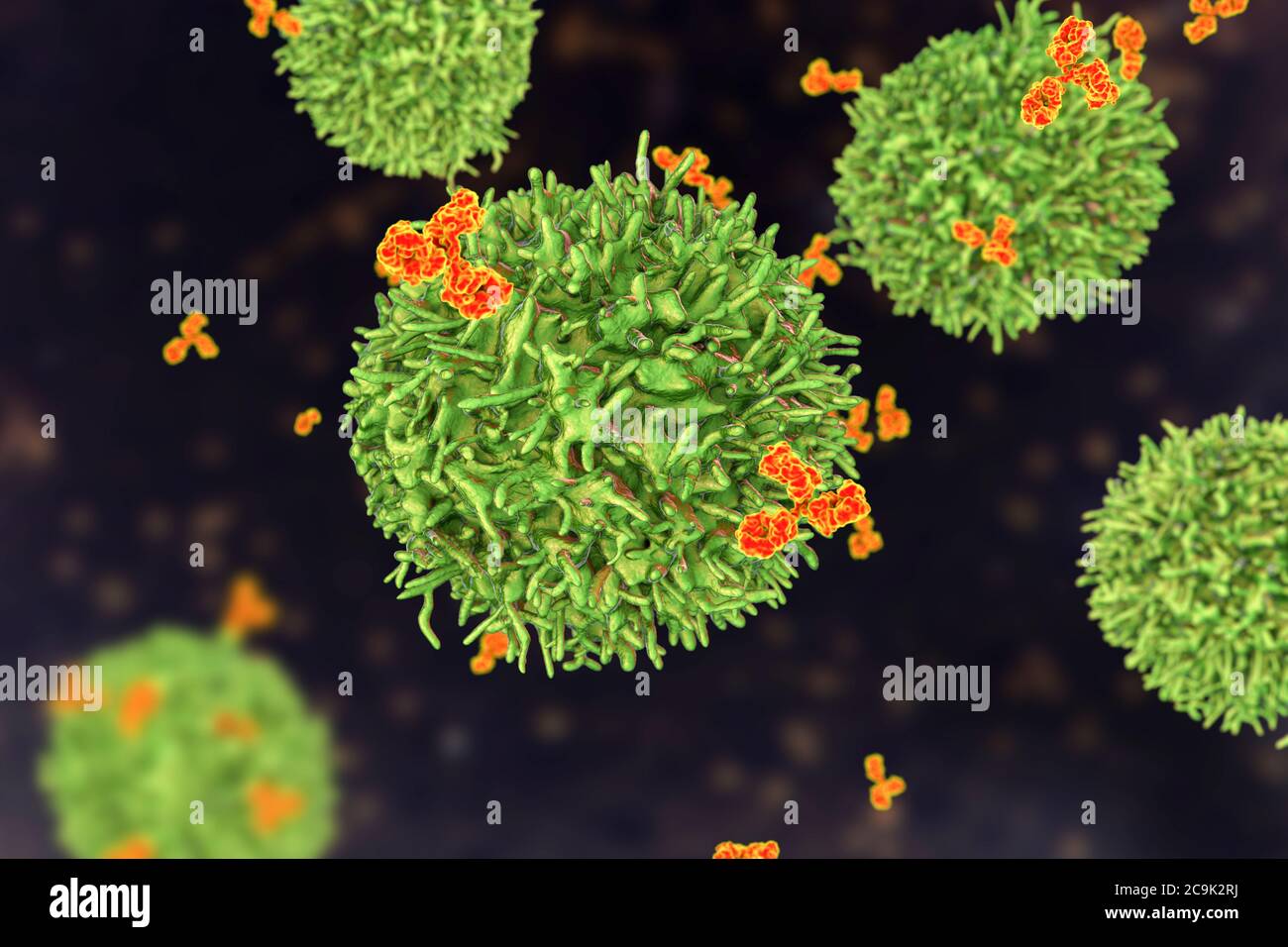 Lymphocyte b Banque de photographies et d’images à haute résolution - Alamy