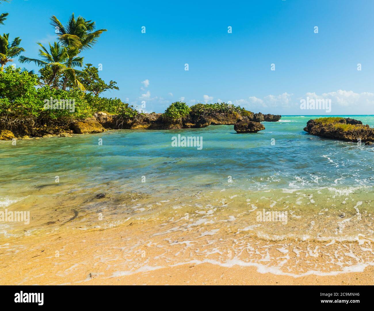Sable doré et palmiers dans une petite crique en Guadeloupe, antilles ...