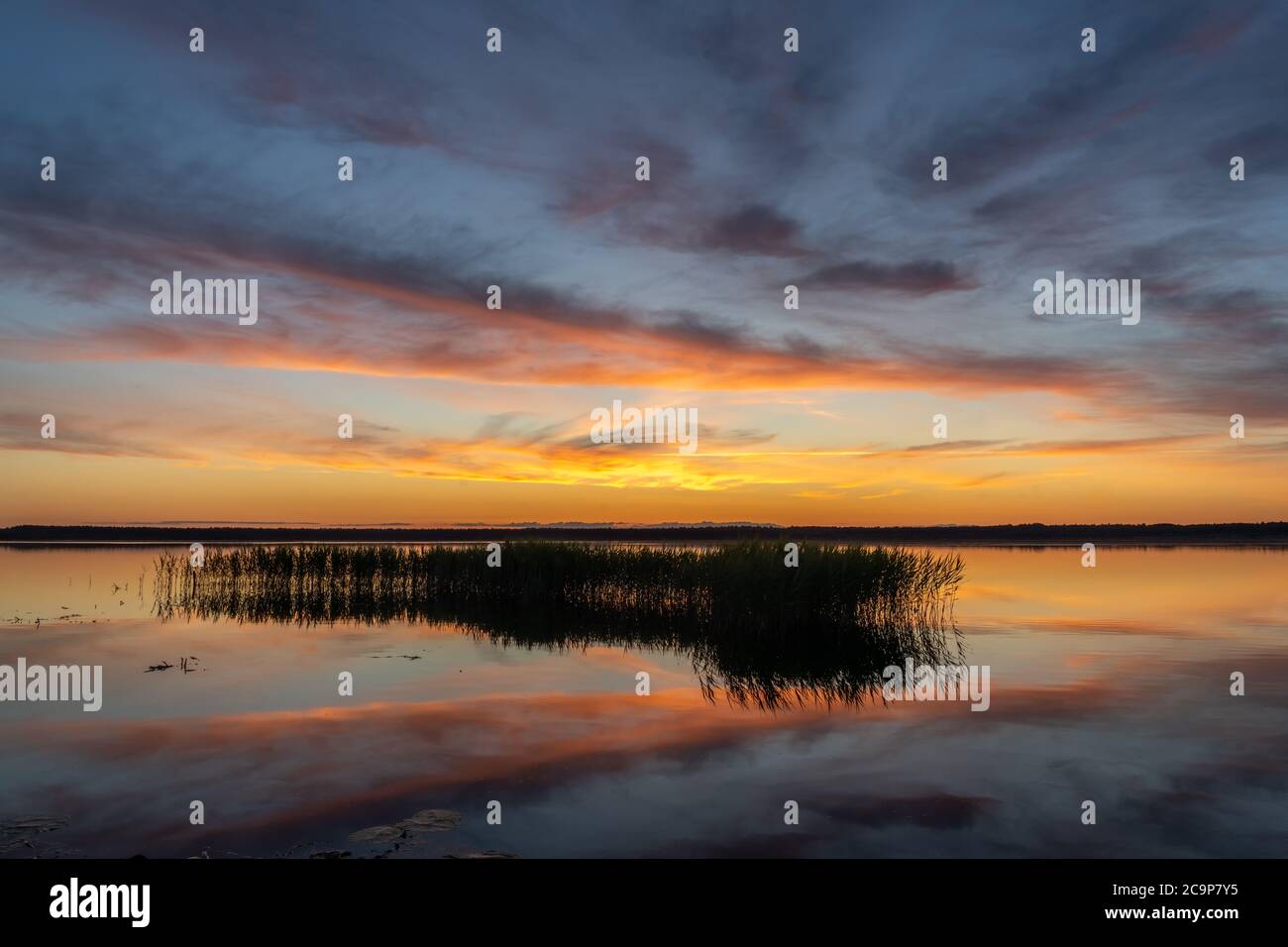 Faune Estonienne Banque d'image et photos - Alamy