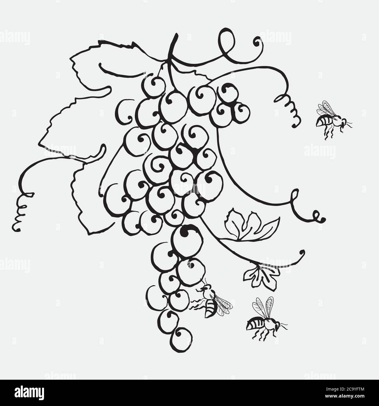 Dessin de grappe de raisin Banque d'images détourées - Page 3 - Alamy