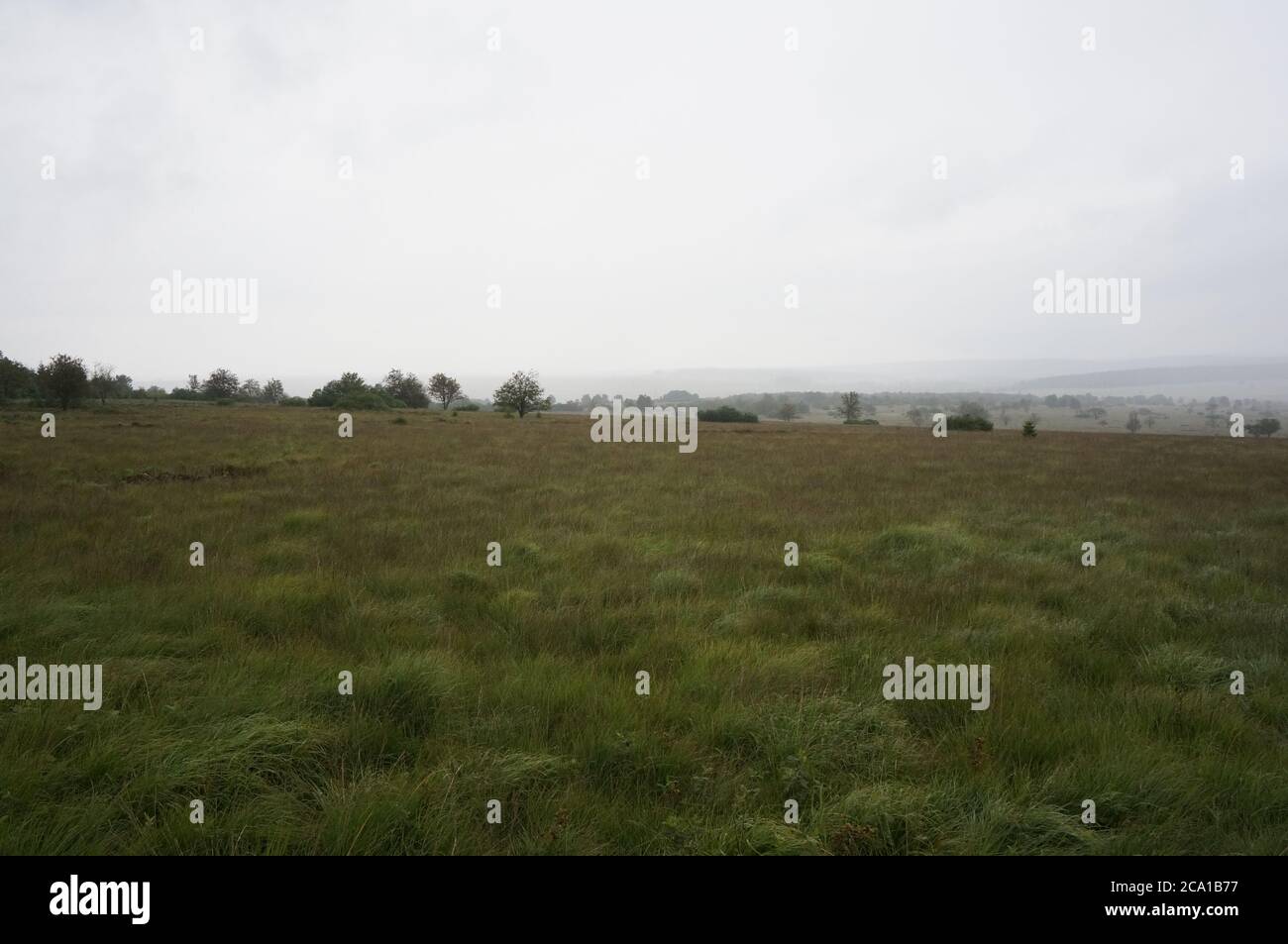 Parc naturel hautes fagnes eifel Banque de photographies et d’images à ...