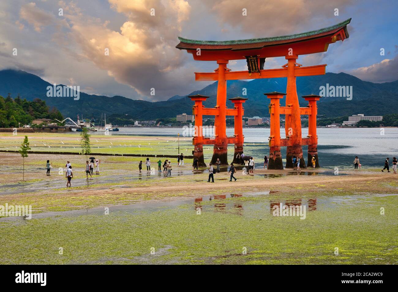 Sanctuaire de itsukushima torii Banque de photographies et d’images à ...
