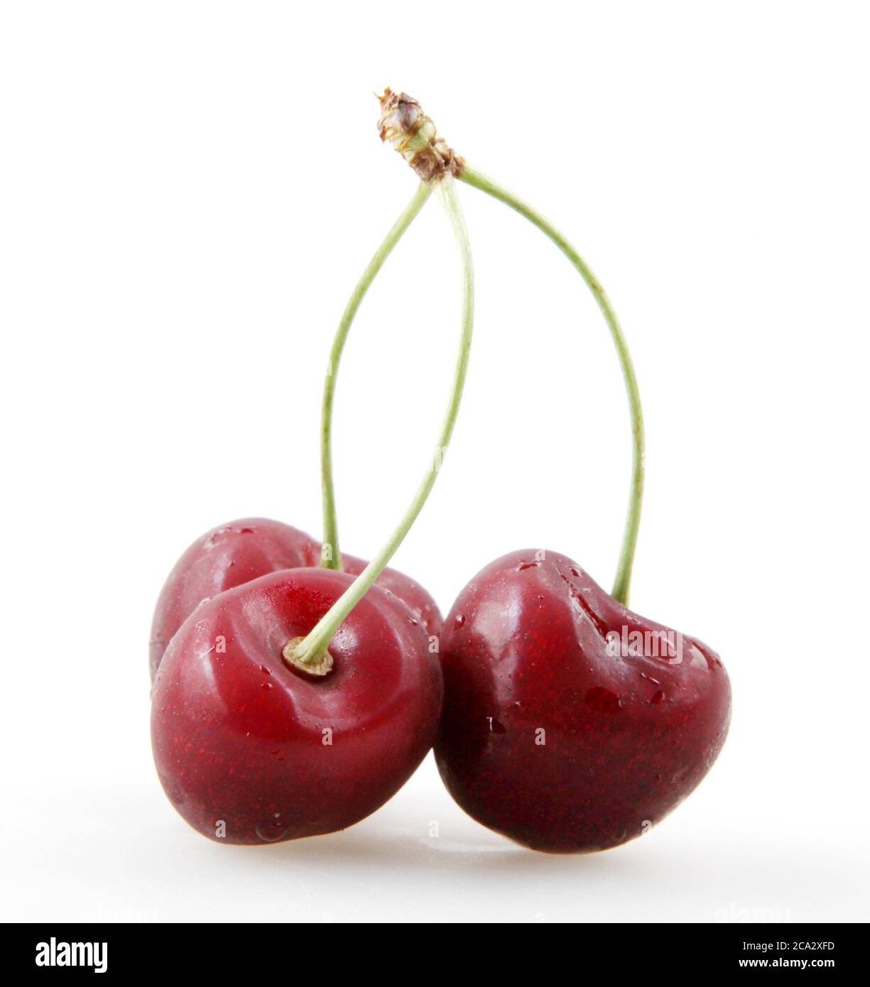 Drupe stone fruit Banque de photographies et d’images à haute ...