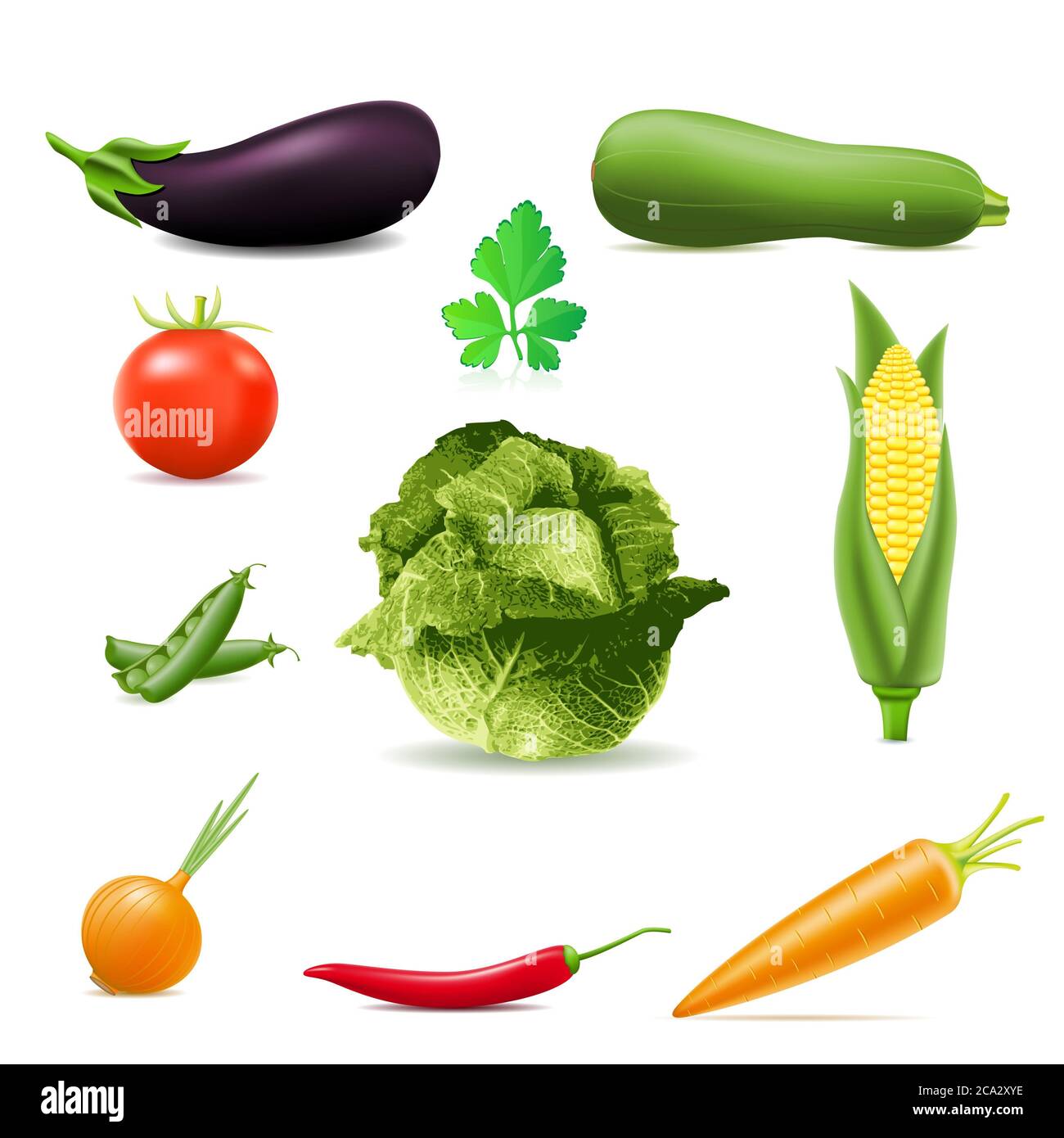 Vegetables vector Banque de photographies et d’images à haute ...