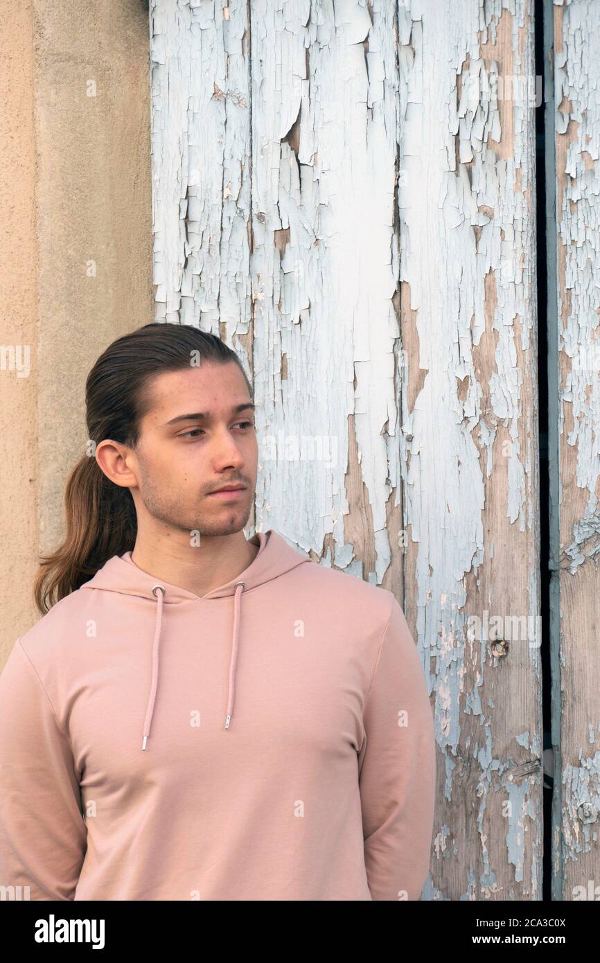 Queue de cheval Banque de photographies et d’images à haute résolution ...