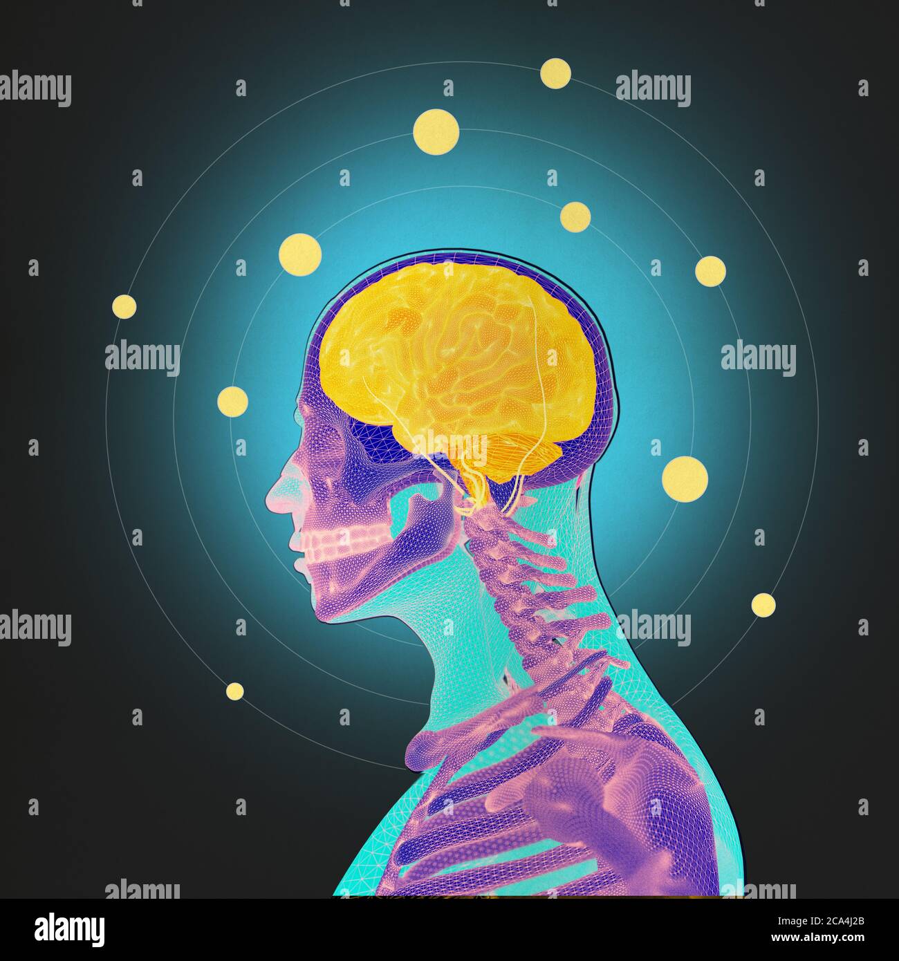 Anatomie concept illustration de la tête humaine, cependant, intellect ...