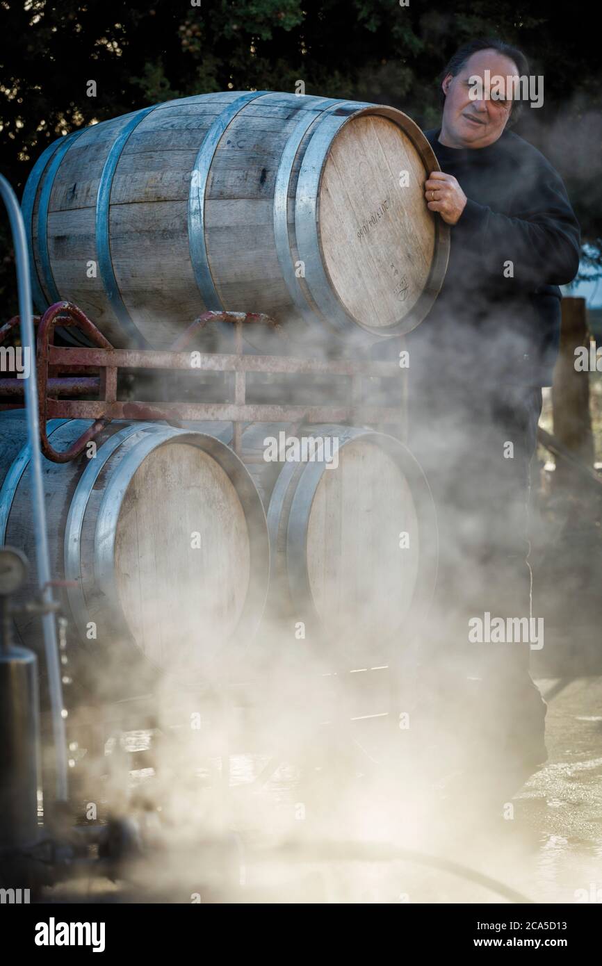 France, Aude (11), Villelongue-d'Aude, vignoble de Capdepon, activité ...