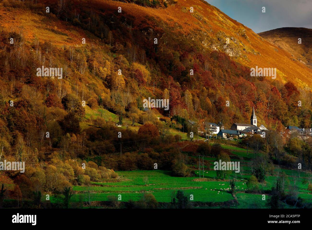 Aas pyrenees Banque de photographies et d’images à haute résolution - Alamy
