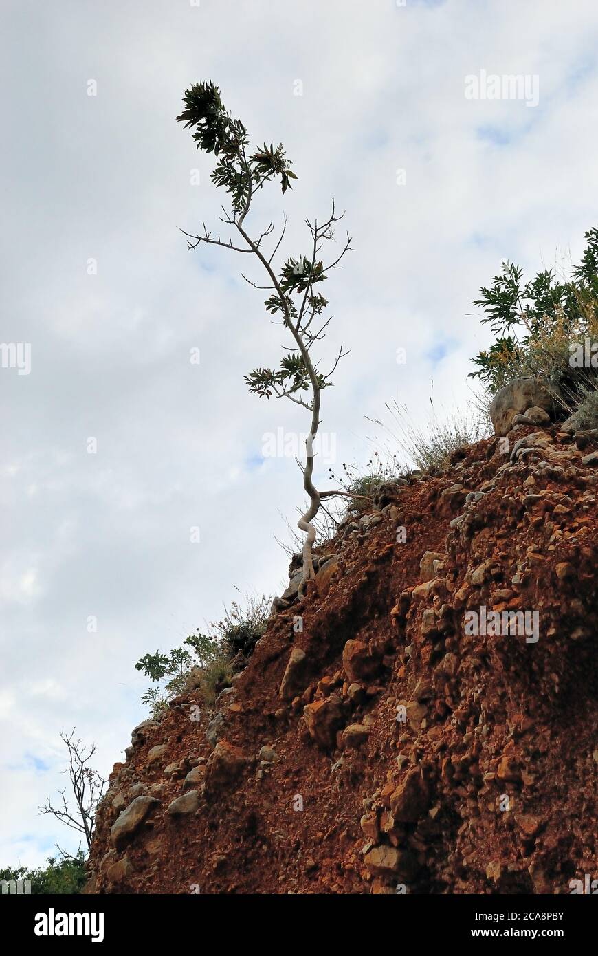 Sol rouge Banque de photographies et d’images à haute résolution - Alamy